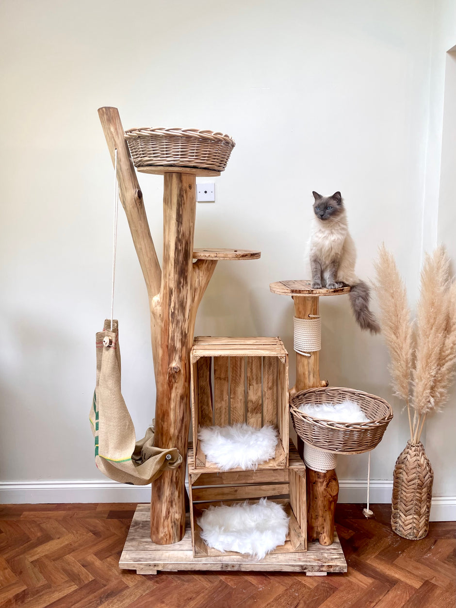 Cat Trees – Treow.shop