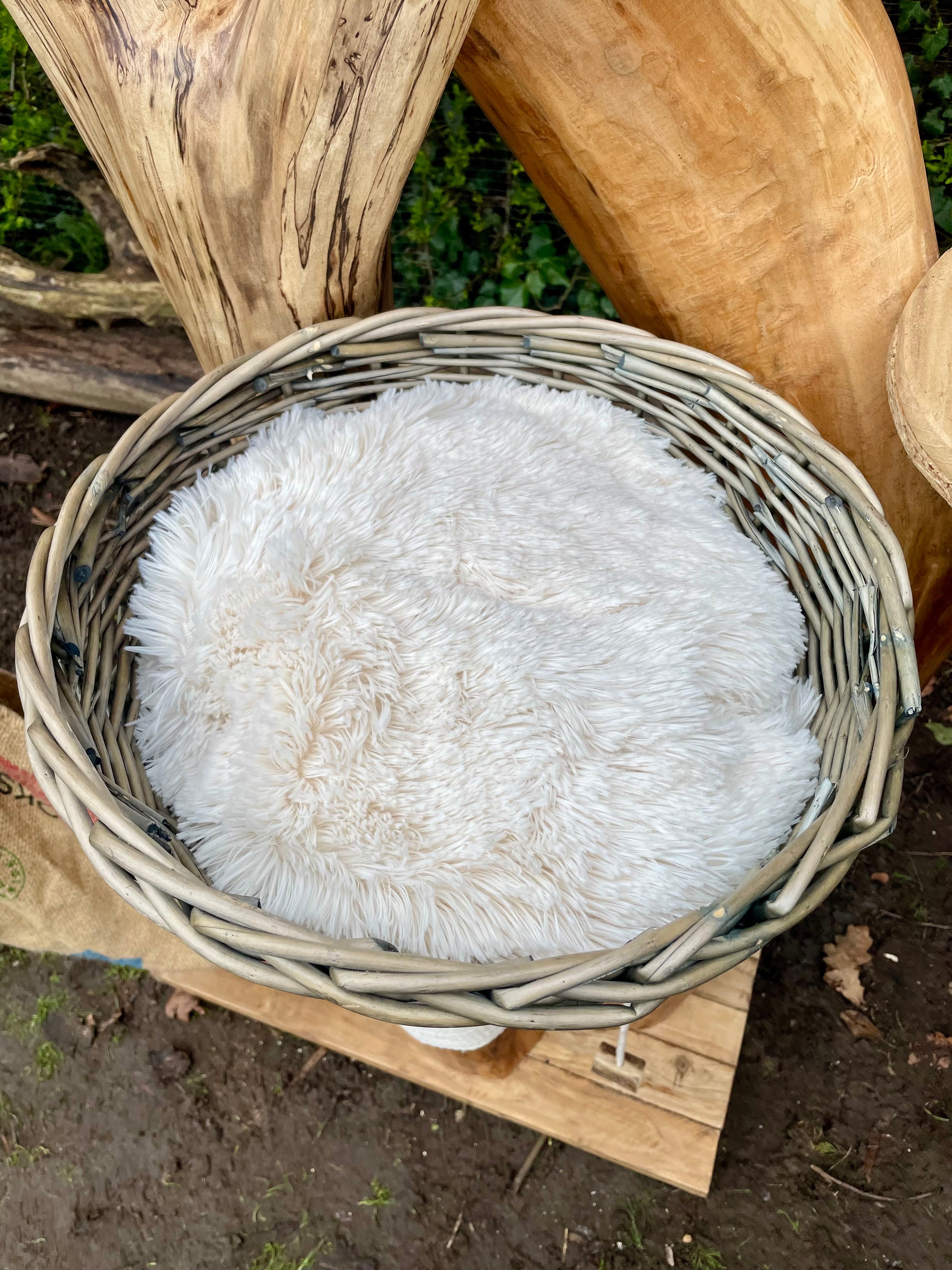 Lessie’s Lair – Treow.shop