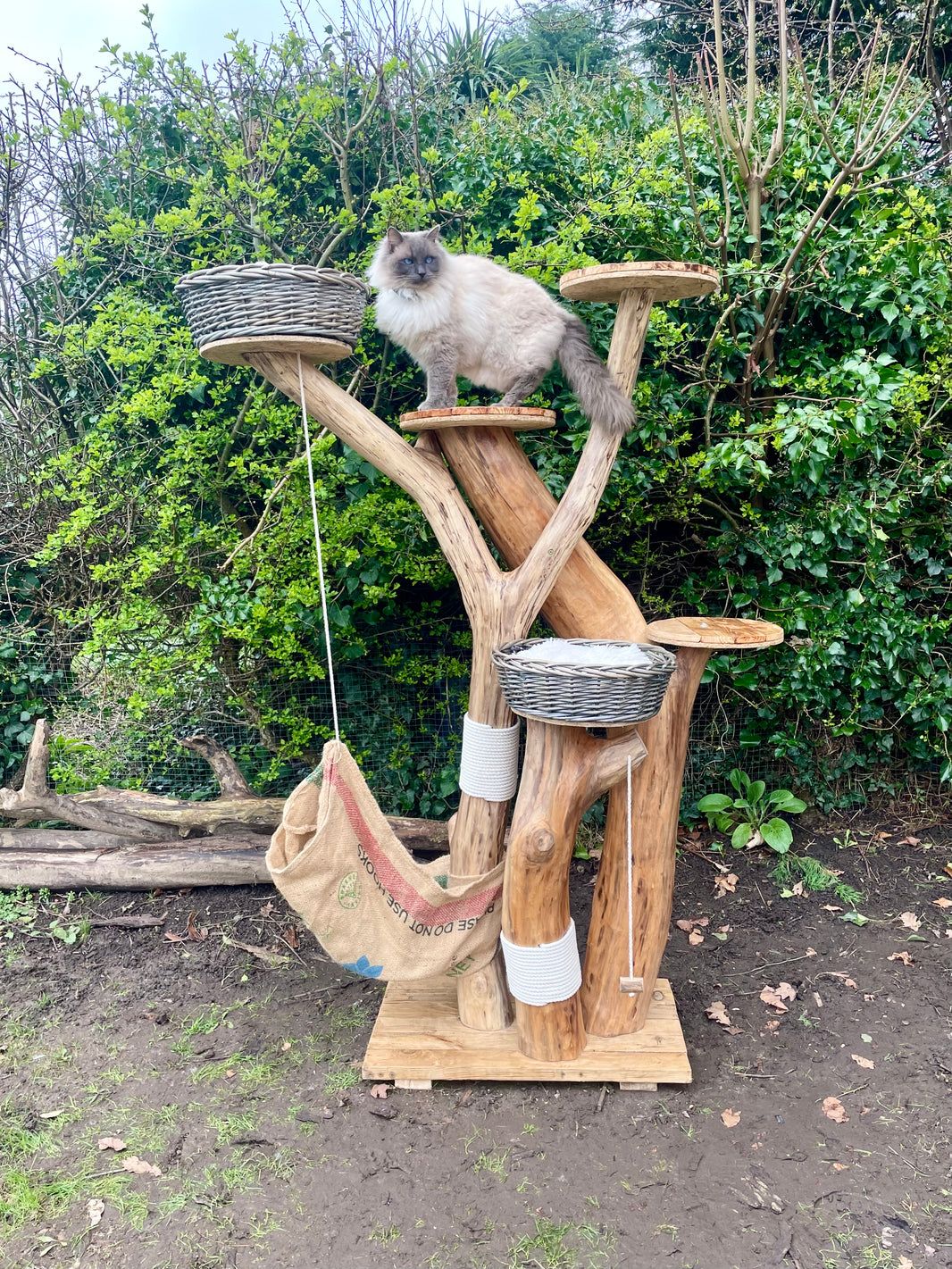 Cat Trees – Treow.shop