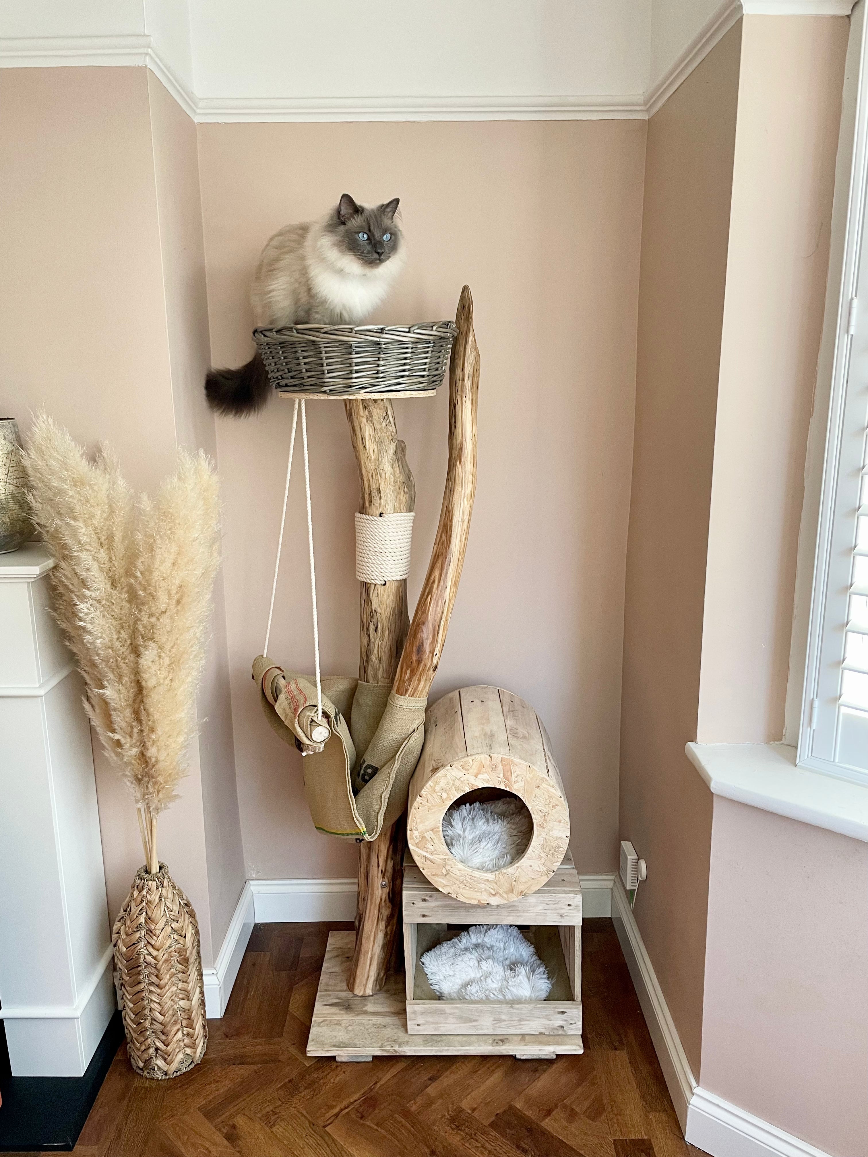 Alice’s Awesome Wonderland – Treow.shop